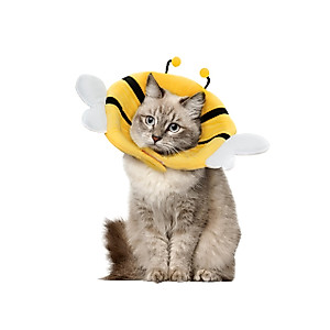 SkyReese - Soft Small Dog/Puppy/Cat Cone | Cute Bumblebee Cone for Small Dogs, Puppies & Cats After Surgery, Wound Care, Spay & Neuter | Dog Recovery Cones & Collars | 100% Polyester (Large)
