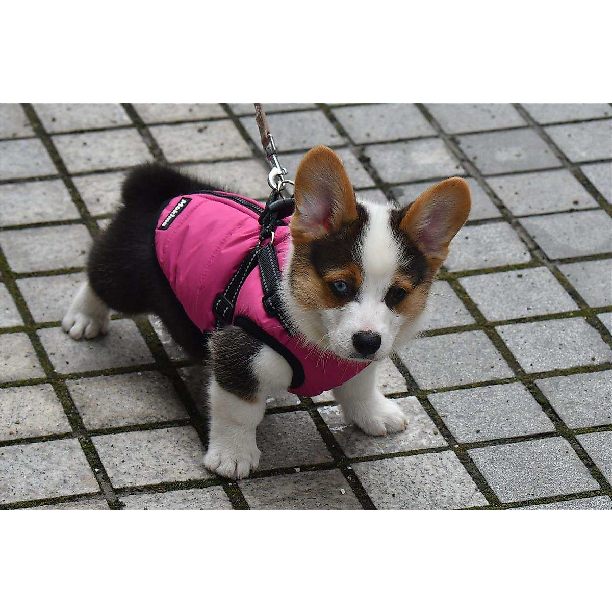 MOKIMA Small Dog Warm Jacket with Leash Attachment - Winter Small Dog Sweater Coat - Small Dog Clothes for Indoor and Outdoor Use - Water Resistant - (Small, Grey)