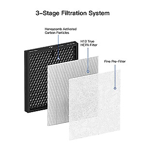 MORENTO HY4866 Air Purifier Replacement Filter for HY4866 Air Purifer (2 Pack, Enhanced Version)