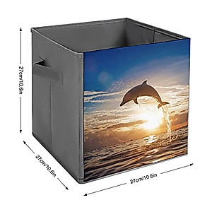 Ocean Sea Dolphin Jumping Collapsible Storage Bins Basics Folding Fabric Storage Cubes Organizer Boxes with Handles