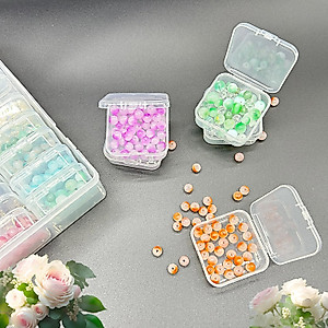 Bead Organizer Box,30Pcs Small Bead Organizers Storage Clear Plastic Bead Containers with Label Sticker for Bracelet Making DIY Jewelry Diamond Art Craft Nails Tackle Seeds Box Organizer