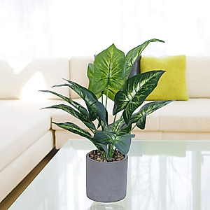 GTIDEA 16 Inch Fake Potted Plants Decor Small Artificial Greenery in Pot Faux Outdoor Plant for Home Indoor Office Table Bathroom Garden Decor