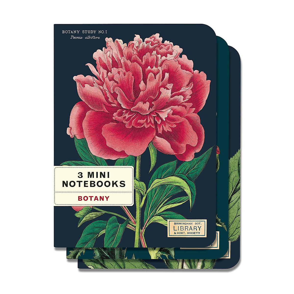 Botany Mini Notebooks