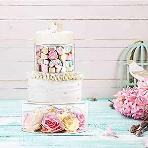 MOJIEZUO Clear Acrylic Cake Stand,Fillable Cake Riser Cake Tier,Round Cake Display Riser,Decorative Display Box with Lid for Wedding Birthday Party
