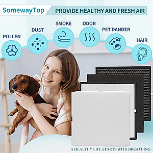[Odor Remover] MinusA2 Filters Replacement Kit Compatible with Rabbit Air Filter Replacement MinusA2, SPA-700A SPA-780A SPA-780N 1 H13 HEPA 1 Odor Remover 1 Activated Carbon and 1 Pre-filter, 4-Pack