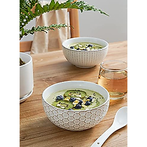 LE TAUCI Cereal bowls 26 OZ, Ceramic Soup Bowl for Kitchen, Embossment Stoneware Bowl House-warming Gift for Soup, Pho, Chip, Fruits, Salad, Noodle, Ramen - 6 Inch, Set of 4, Arctic white