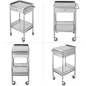 YIYIBYUS Stainless Steel Cart 2 Layer Medical Dental Laboratory Rolling Cart Mobile Equipment Serving Carts with Silent Wheel Trolley Cart