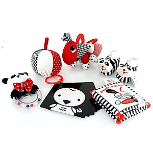 Genius Baby Toys | Brilliant Beginnings Infant Toys Gift Set and Bundle, 6 ct Includes Teether, Rattle, Jingle Ball, Rattle Booties, Cloth Book and Flashcards