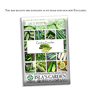 Carolina Cucumber Seeds for Planting, 100+ Heirloom Seeds Per Packet, (Isla's Garden Seeds), Non GMO Seeds, Botanical Name: Cucumis sativus, Great Home Garden Gift