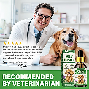 Milk Thistle for Dogs, Extra Strength Milk Thistle Supplement, Supports Pet Liver Health, Cleanse & Detox, Simply Add to Food, 2 Oz