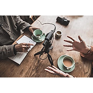 Shure MV88+ Video Kit - Digital Stereo Condenser Microphone for Apple and Android, with Manfrotto PIXI Tripod, Phone Clamp, Mount, iOS and USB-C Cables for Next-Level Compatibility and Connectivity