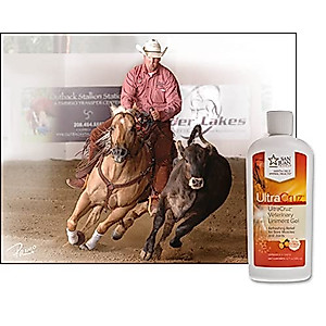 UltraCruz - sc-516110 Veterinary Liniment Gel for Horses, 12 oz