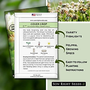 Sow Right Seeds - White Dutch Clover Seed for Planting - Cover Crops to Plant in Your Home Garden - Nitrogen Fixer - Clover Seeds Ground Cover - Non-GMO Heirloom Seeds - Gardening Gift