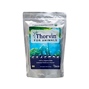 Thorvin Kelp For Animals | Organic Supplement for Skin, Coat, Digestion and Optimal Health | Suitable for Dogs, Cats, Horses, and Livestock | 3lb