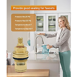 013787-45 Ceramic Cartridge Assembly Fits For T&S Brass Faucets,Hot Ceramic Cartridge faucet parts,Temperature 40F-140F,Pressure 20PSI-125PSI (HOT)