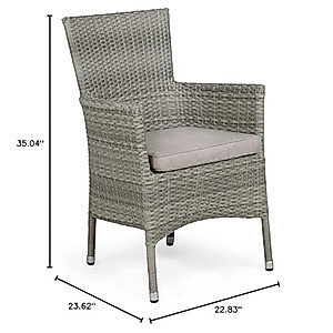 Muse & Lounge Co. Pecos Transitional Metal and All-Weather Wicker Patio Armchairs with Cushion, Set of 2 for Outdoor, Poolside, Garden, Yard, Gray