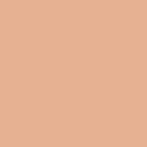 Bareminerals Barepro Concealer Light/Medium-Neutral 05, 0.09 Ounce