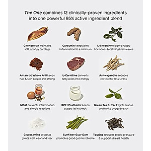 FRONT OF THE PACK The One Dog Food Supplement Powder - Allergy and Itch Relief, Digestive Support, Brain Support & Joint Booster with Glucosamine Chondroitin for Dogs