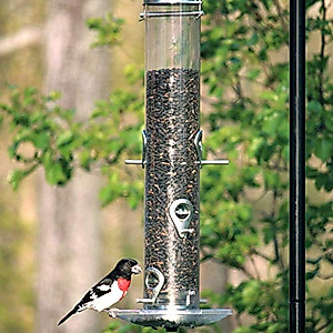 Droll Yankees Bird Feeder Tray, Seed Catcher Accessory Attachment, 7.5-Inch Diameter