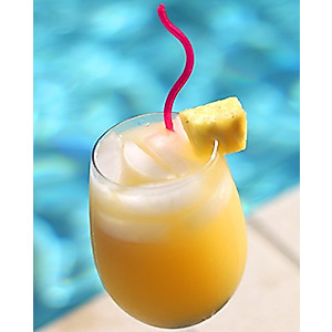 Poolside Unbreakable Stemless Plastic Wine Glasses ~ Elegant Durable Reusable Glassware ~ Sophisticated Design ~ Shatterproof Dishwasher Safe Indoor/Outdoor Barware ~ 100% Tritan ~ Set of 4~16 oz