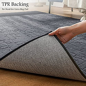 Area Rug-5x7 Rug for Living Room Contemporary Durable Carpet-Washable Rug Suitable for Living Room Bedroom Dinning Room Laundry Room Study Room