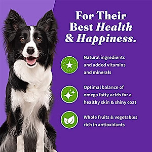 Halo Holistic Adult Dog Vegan Plant-Based Recipe with Superfoods 3.5 lb Bag