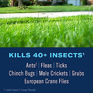 BioAdvanced Complete Brand Insect Killer for Lawns, Granules, 20 LB