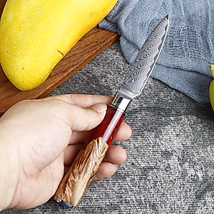 JUMCSONG 3.5 Inch Fruit Knife, 67 Layer Damascus Steel Blade Peeling Knife, Super Sharp Kitchen Knife