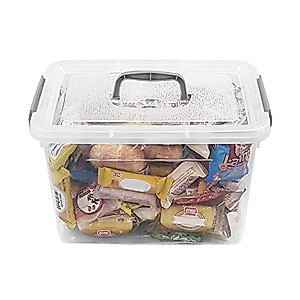 Callyne 10 L Clear Plastic Storage Box, 6-Pack Storage Latch Box