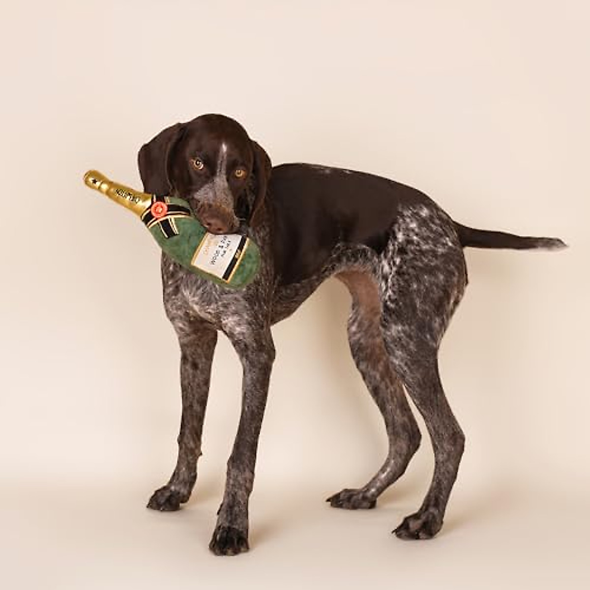 CHEWFFON Dog Toy, Squeaky Dog Toys for Boredom, Plush Dog Present Chew Toy for All Breeds Dogs, Champagne Shape Interactive Dog Toys for Birthday Stimulating Gifts