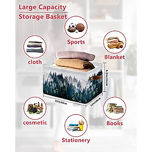 Green Forest Storage Basket for Shelves, Spring Summer Botanical Natural Scenery Storage Cube Fabric Storage Bins, Closet Organizers with Handles for Book, Toys, Cloth, 15"x11"x9.5", 1 Pack