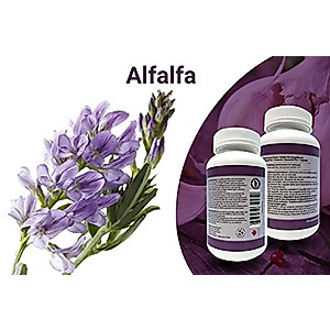 Natural Alfalfa Supplement 500mg 250 Capsules [1 Bottles] by Total Natural, Rich in Vitamins & Trace Minerals, Promotes Energy & Vitality, Promotes Digestive Health