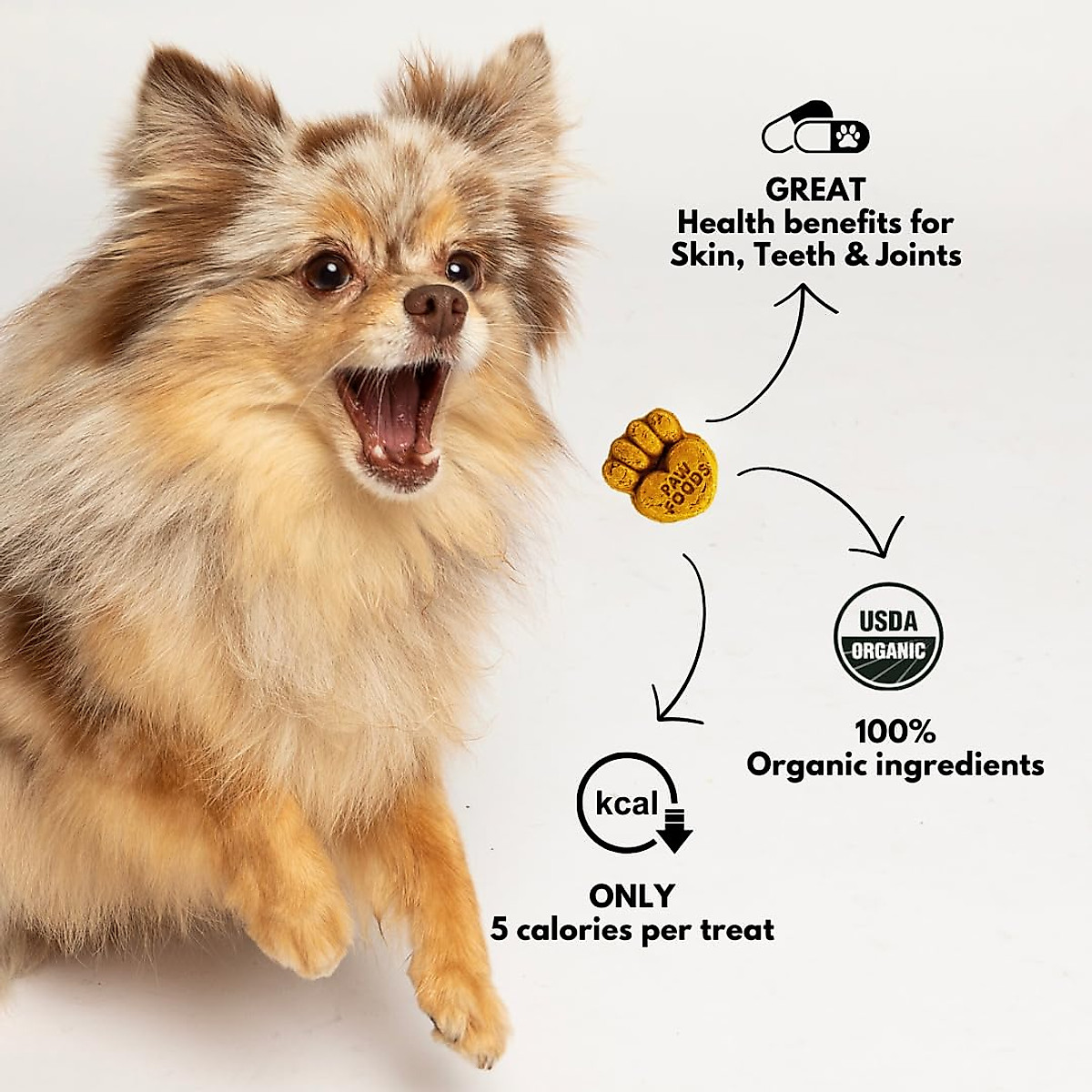 PawFoods Salmon Dog Treats - Organic Dog Treats with Salmon - Shiny Coat Healthy Skin, Omega 3 & 6, Low Calorie Dog Training Treats, Healthy Dog Treats - Approx. 60 Treats Per Bag - 170g - Made in USA