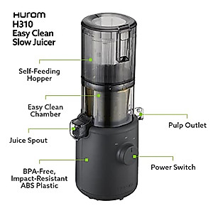 Hurom H310A Personal Self Feeding Slow Masticating Juicer (Matte Black)