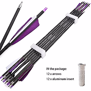 ZSHJGJR 30 Inch Archery Carbon Arrows Hunting Arrows with 4” Turkey Feather Target Practice Arrows Spine 500 for Compound & Recurve &Traditional Bow 6/12pcs (12 x purple arrows)