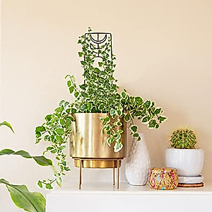 Tuitessine Moon Phase Trellis Indoor Plant Trellis Climbing Plant Small Garden Trellis for Potted Plant Houseplant Metal Wire Trellis Pot Trellis 2 Packs 14.1’’