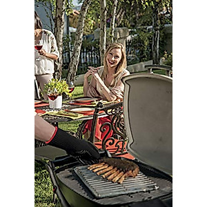 Weber 6564 Original Q Roast Rack for Grilling, Large