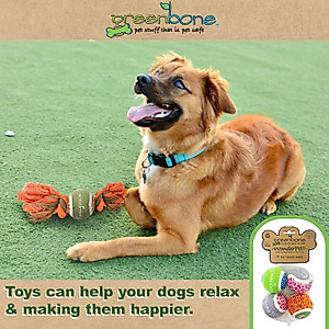 Greenbone Wonderpet! Pull n Play Tennis Ball Toys - Medium Size Dogs