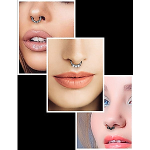 Ocptiy 16G Septum Ring Piercing Jewelry 316L Stainless Surgical Steel Horseshoes Hinged Septum Seamless Hypoallergenic Cute Septum Clicker Nose Ring Earring Hoop Piercing Jewelry Men Women Black 10mm