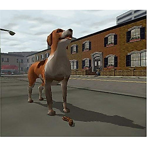 Dog's Life (Renewed)