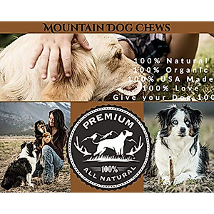 Mountain Dog Chews - Large Split Elk Antler - Elk Antler Dog Chew - Grade A Premium - Organic - Made in USA - No Mess