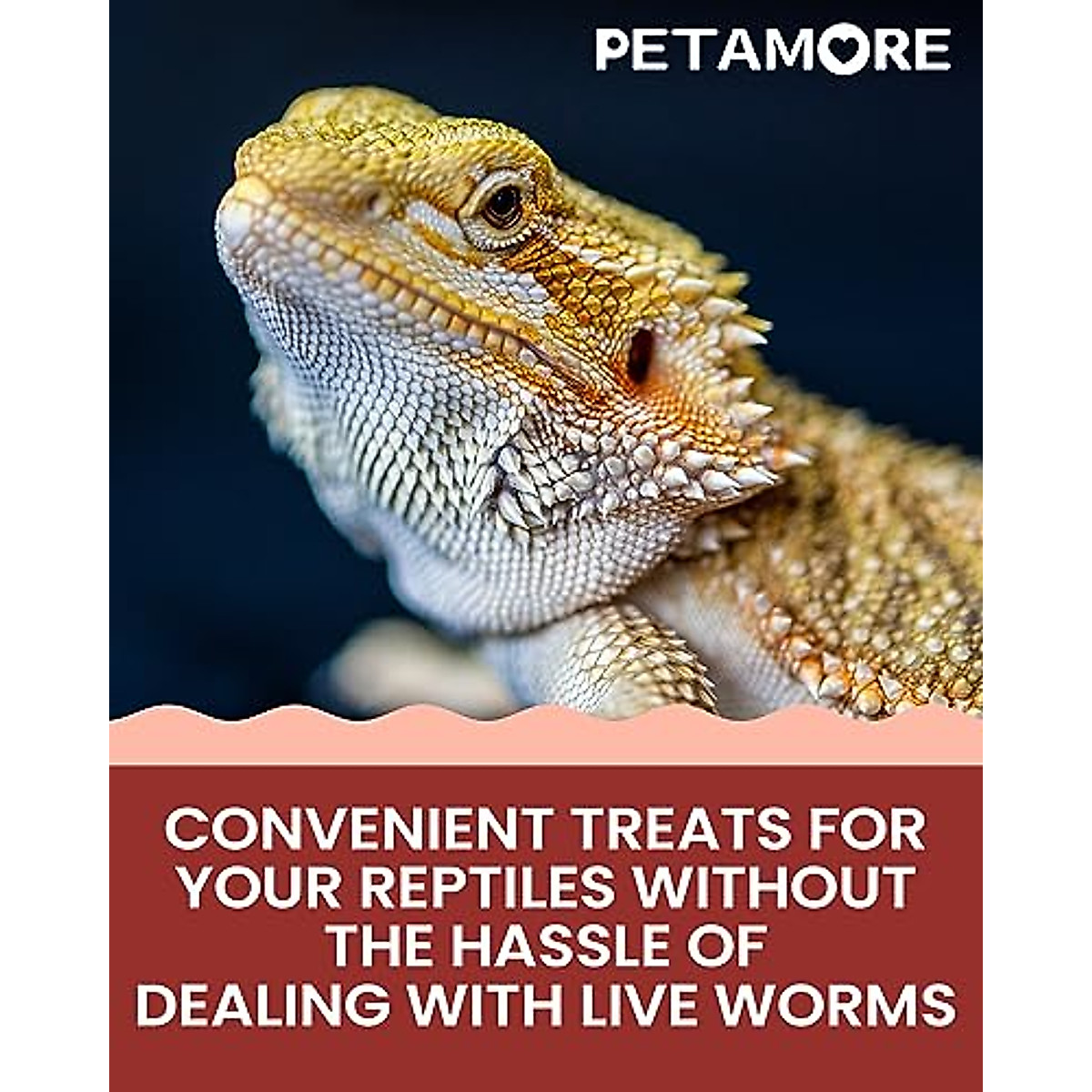 NC Grubsnack 10lbs Dried Mealworms Black Soldier Fly Larvae Mix Treats for Backyard Chickens, Scratch Feed for Backyard Flock Party Poultry Fowl Layers hens with Rich Protein and Calcium