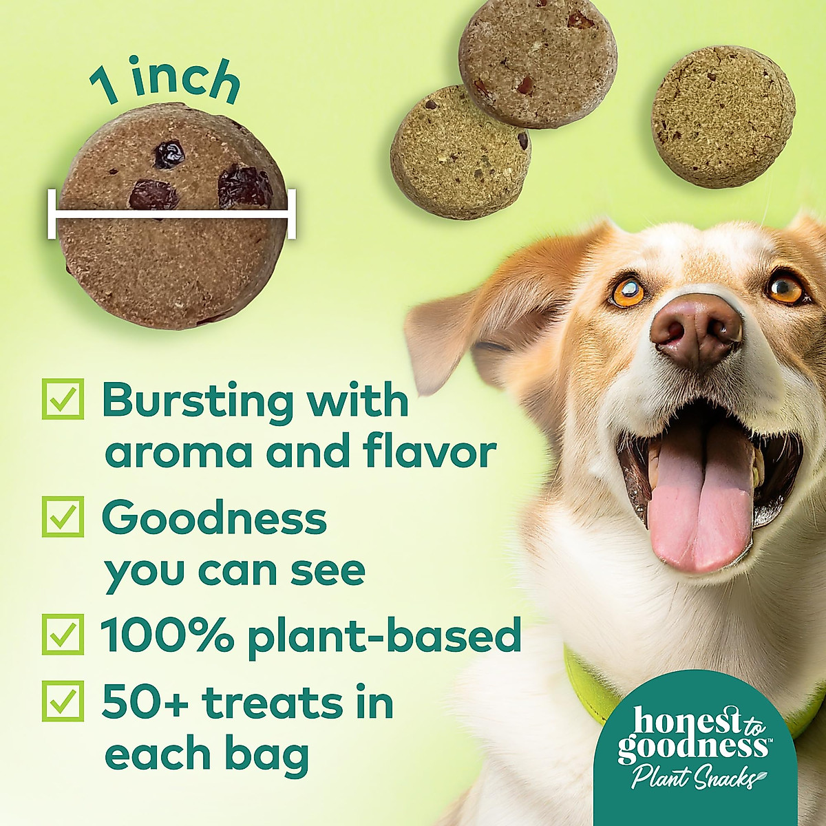 Honest to Goodness Plant Snacks Dog Treats, Enriched with Omega 3s & Postbiotics, 8oz Variety Pack, 4 Bags