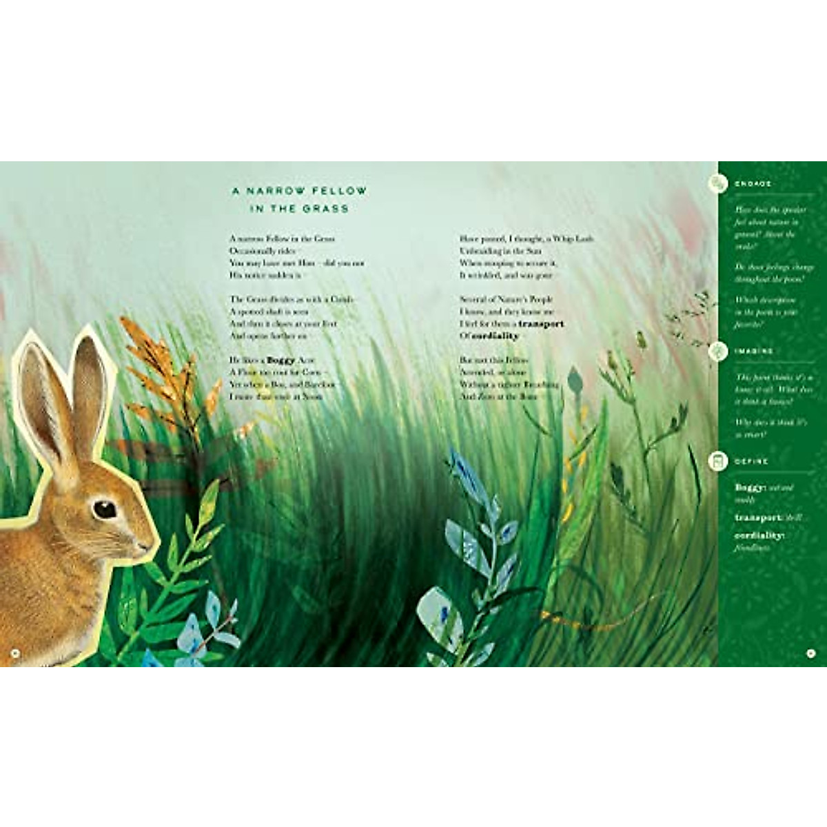 The Illustrated Emily Dickinson: 25 Essential Poems (The Illustrated Poets Collection, 1)