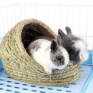 kathson Woven Pet hay Bed for Hamsters, Hand Crafted Grass House for Rabbits, Guinea-Pigs, Bunny and Cats (1ball+Bed)
