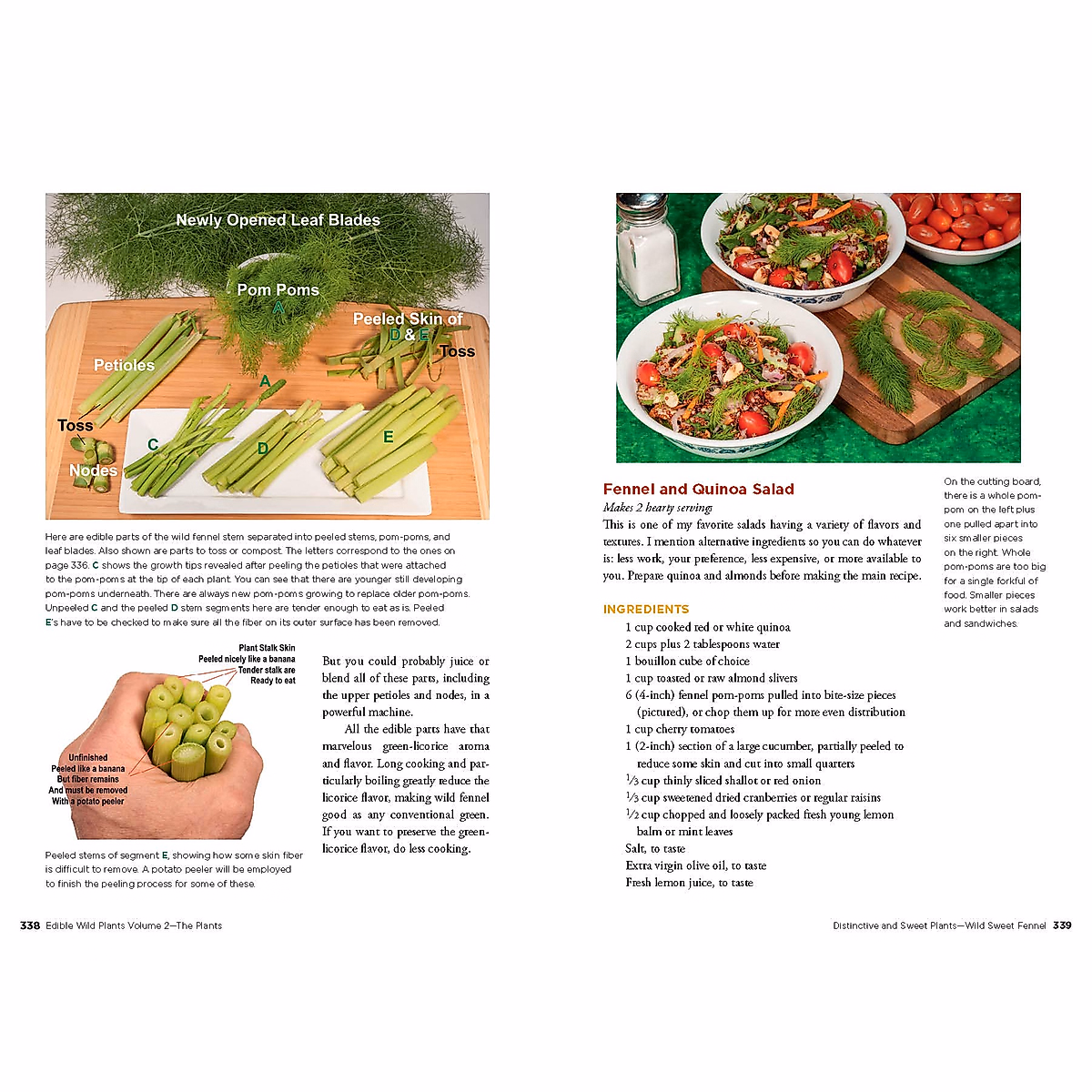 Edible Wild Plants, Volume 2: Wild Foods from Foraging to Feasting (Wild Food Adventure)