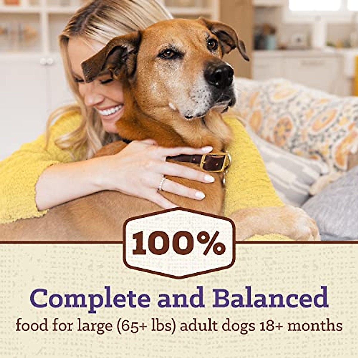 NUTRO MAX Large Breed Adult Recipe Dry Dog Food With Farm-Raised Chicken, 25 LB Bag