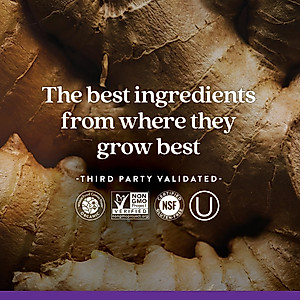 New Chapter Men's Multivitamin for Immune, Stress, Heart + Energy Support with Fermented Nutrients - Every Man's One Daily, Made with Organic Vegetables & Herbs, Non-GMO, Gluten Free - 96 ct