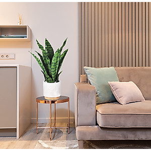 DUZYXI Artificial Snake Plants 16" with White Ceramic Pot Sansevieria Plant Fake Snake Plant Greenery Faux Plant in Pot for Home Office Living Room Housewarming Gifts Indoor Outdoor Decor-Green