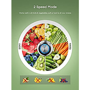 Juicer Machines Vegetable and Fruit, 800W Powerful Juilist Centrifugal Juicer Machines Easy to Clean with Brush, Dual Speeds Juice Extractor Machine with Large 3'' Feed Chute & Anti-Drip